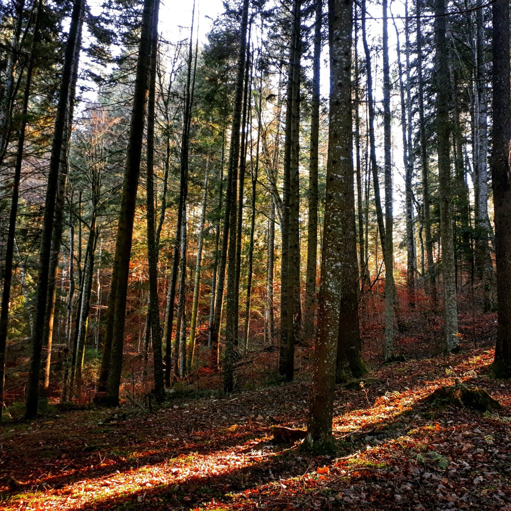 Tisa – România Străveche – Ancient Romania